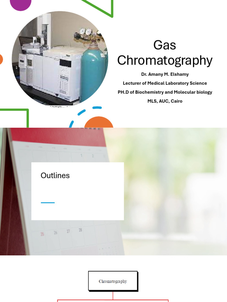 4 - Gas Chromatography | PDF | Gas Chromatography | Chromatography