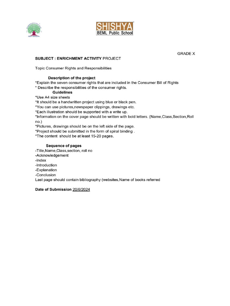 Subject Enrichment Activity - Grade X | PDF