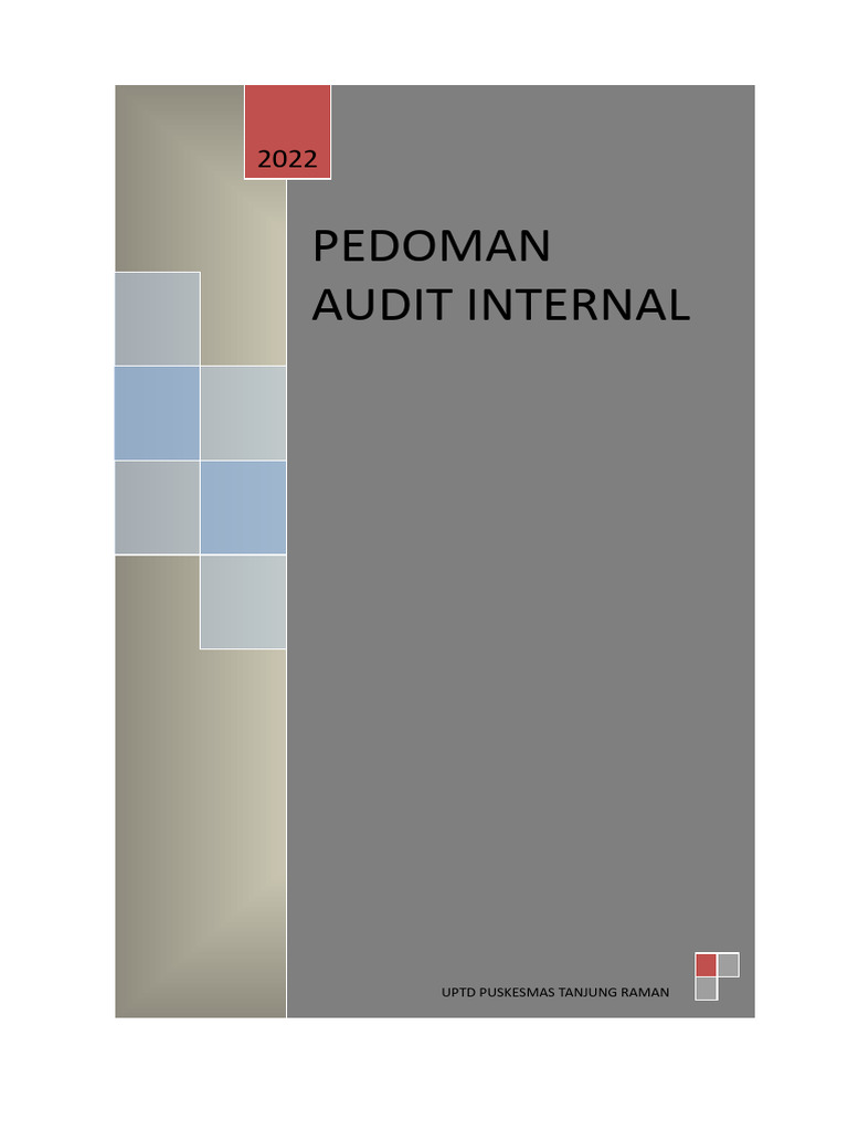Pedoman Audit Internal | PDF