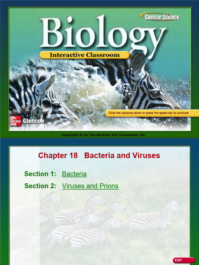 Bacteria and Viruses Overview | PDF | Bacteria | Virus