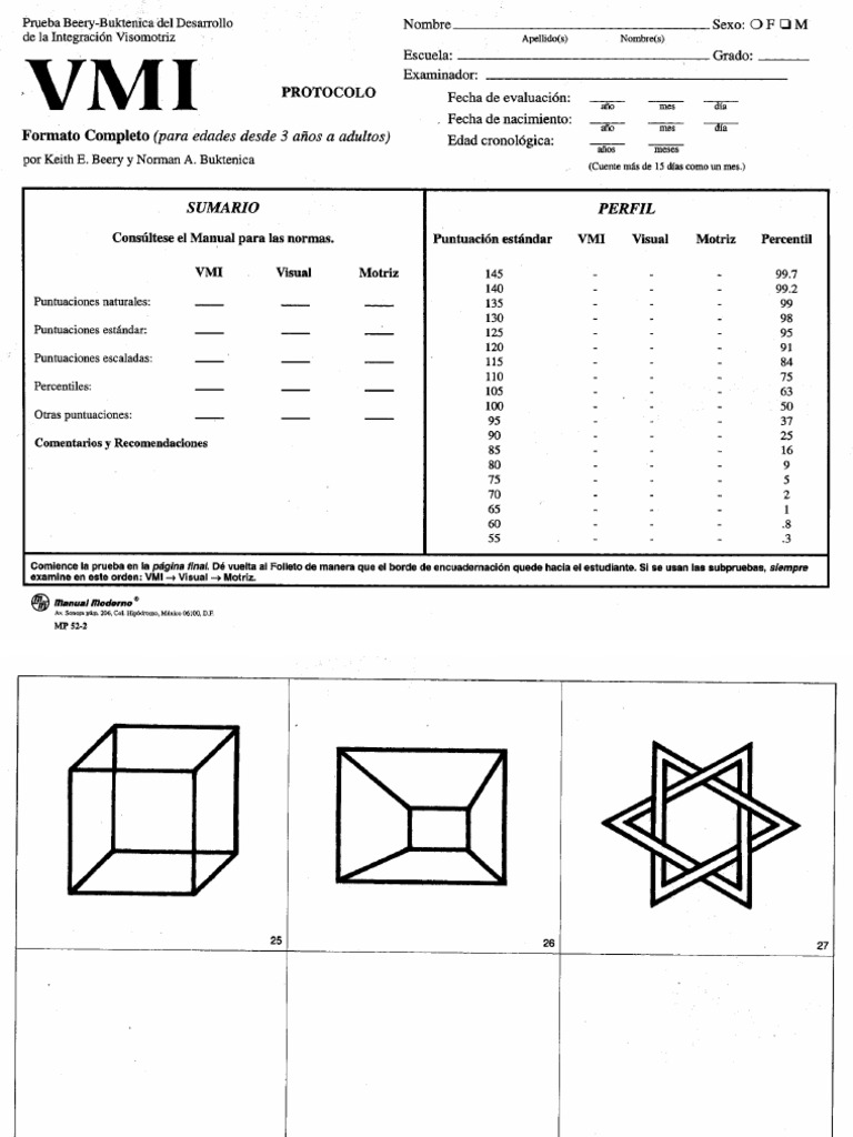 VMI Base Completo | PDF