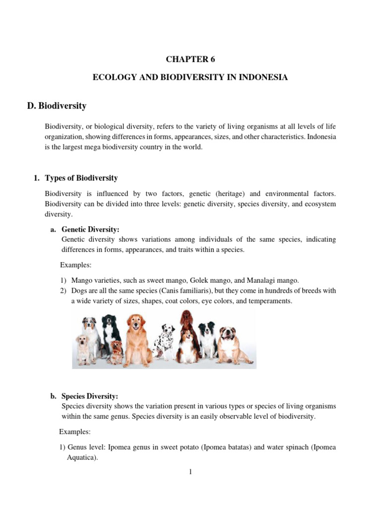Biodiversity and Ecology in Indonesia | PDF | Conservation Biology ...