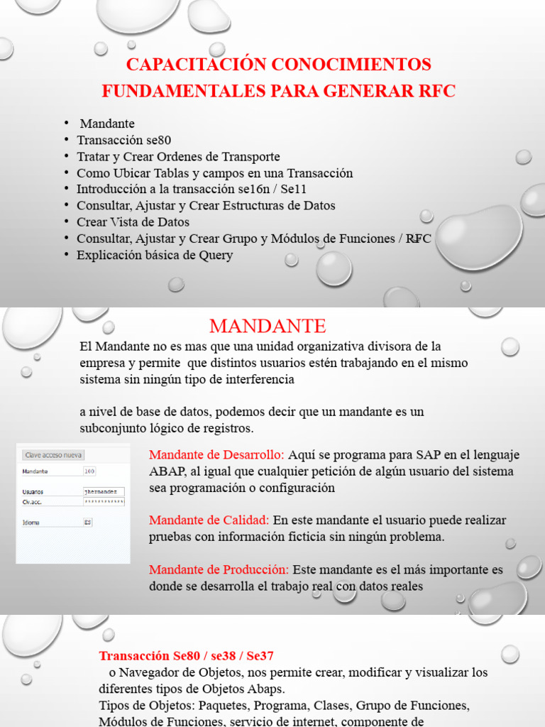 Capacitacion RFC - Abap | PDF | Bases de datos | Informática