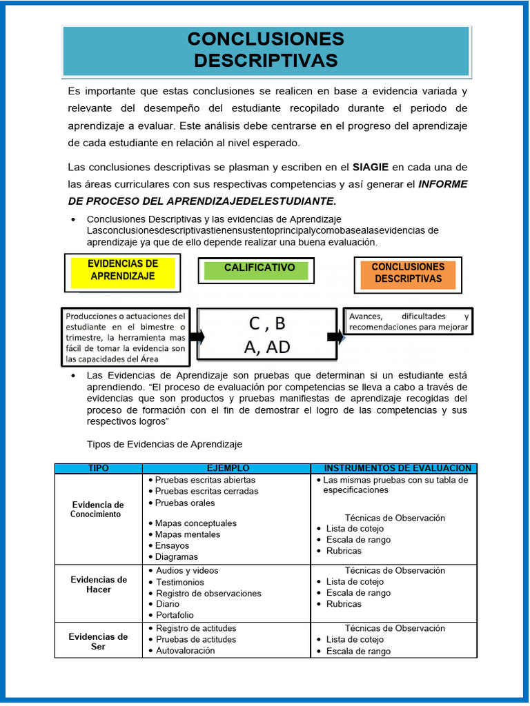Evaluación de Aprendizaje y Conclusiones Descriptivas | PDF | Evaluación | Investigación ...