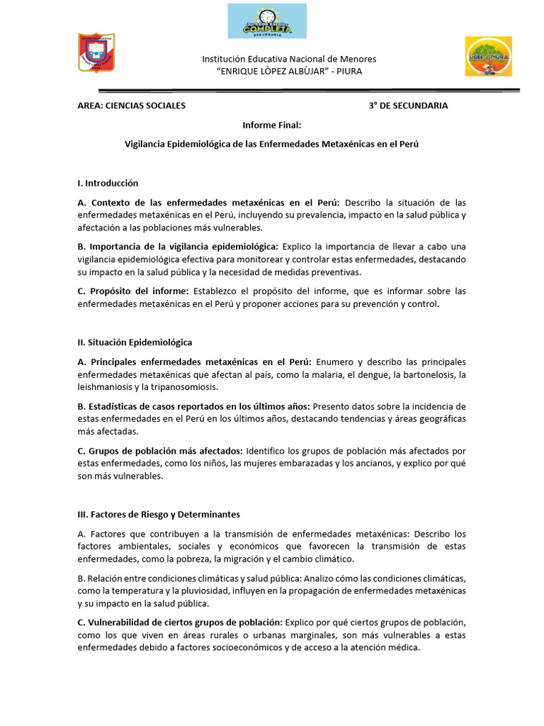 ESQUEMA DE INFORME | PDF | Epidemiología | Cuidado de la salud