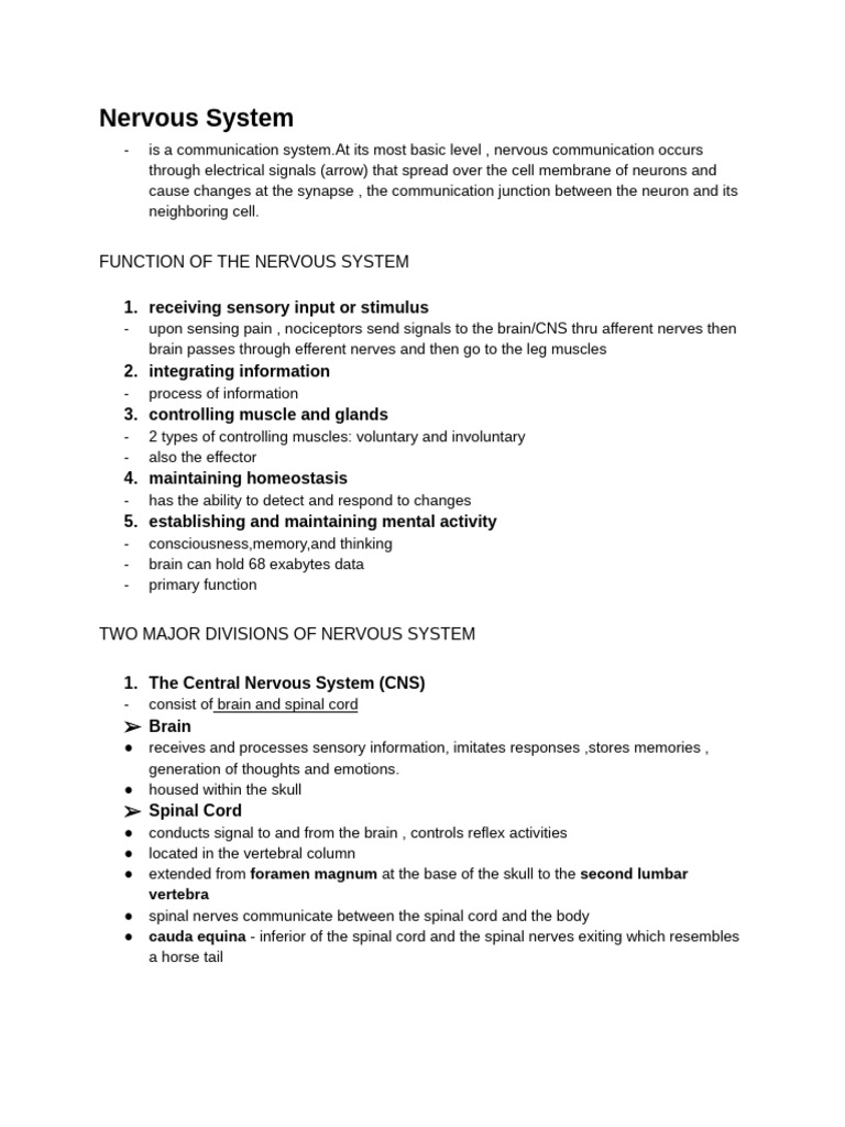 Overview of the Nervous System | PDF | Nervous System | Neuroscience