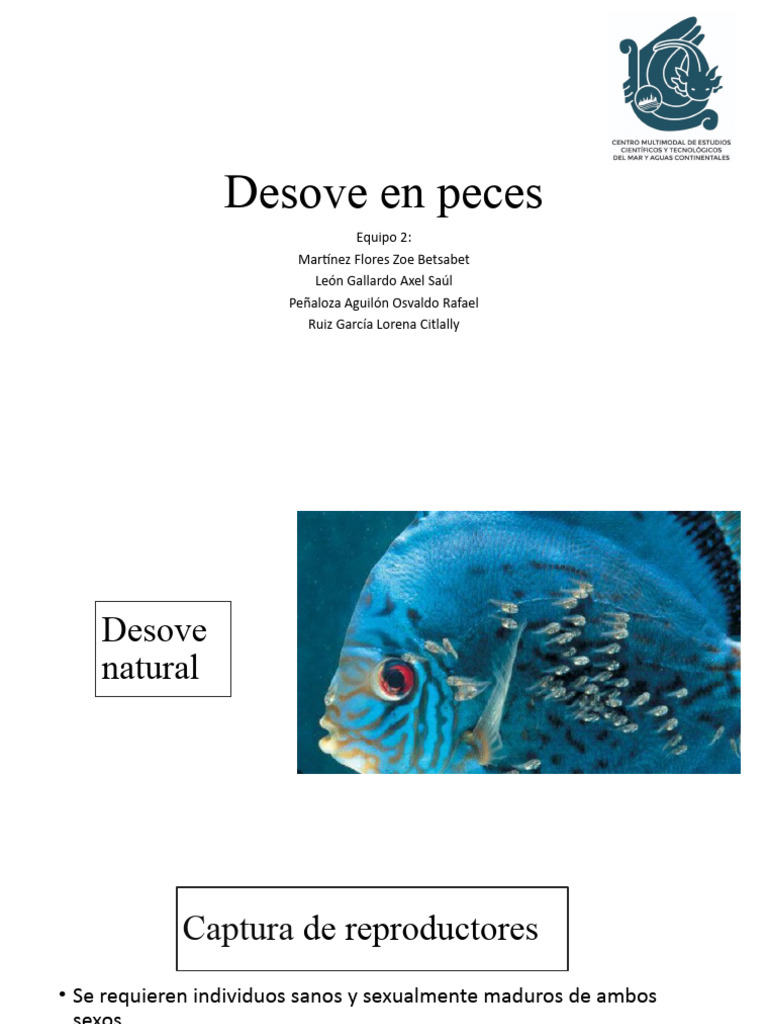 Desove en Peces | PDF