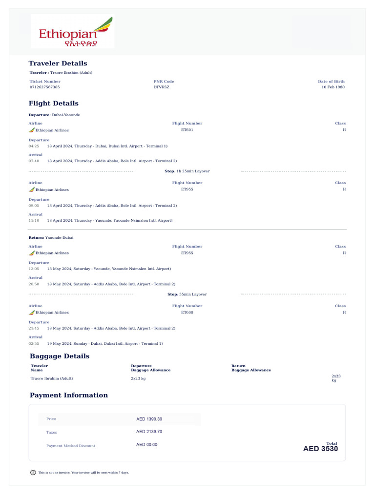 Your Flight Information | PDF