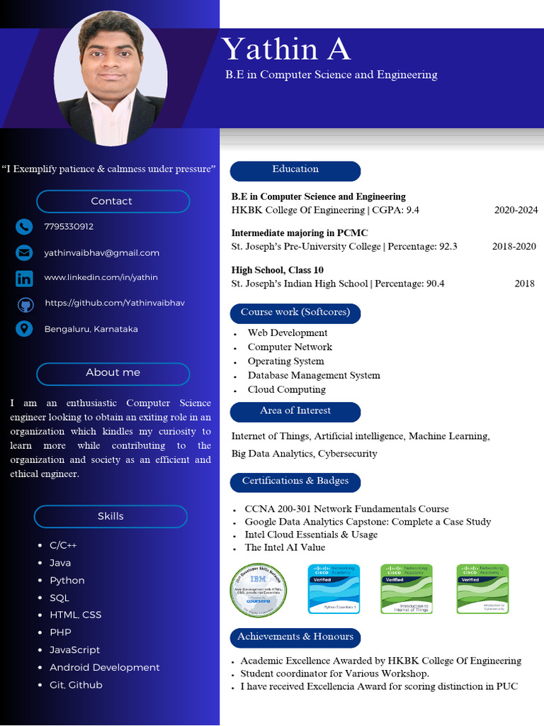 Black Modern Professional Resume | PDF | Graphical User Interfaces ...