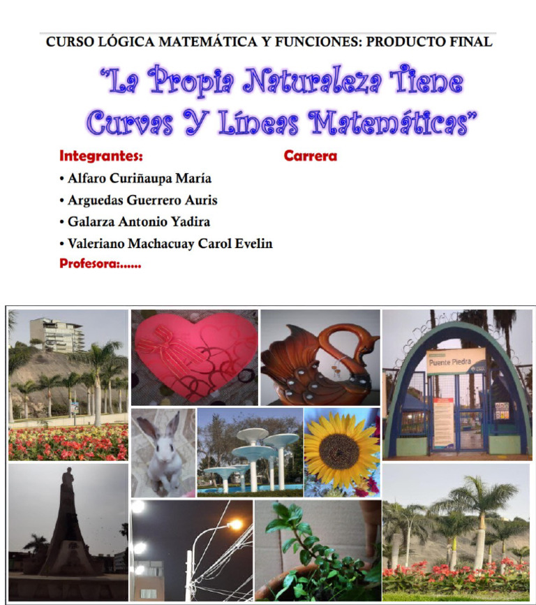 Modelo Collage | PDF