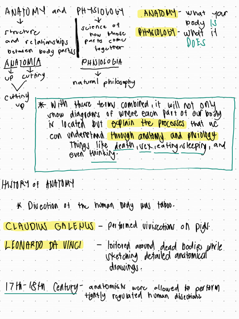 AnaPhy Advance Study Notes 240224 185521 | PDF