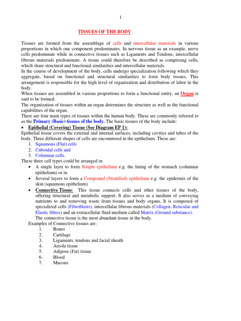 Microsoft Word - TISSUES OF THE BODY - MEDICS 20102011 | PDF ...