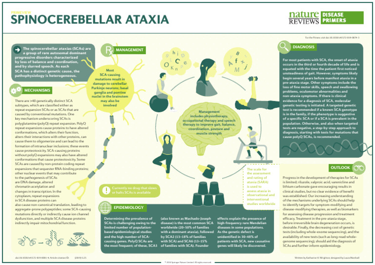 Spinocerebellar Ataxia: Diagnosis Management | PDF | Neurology | Health Sciences