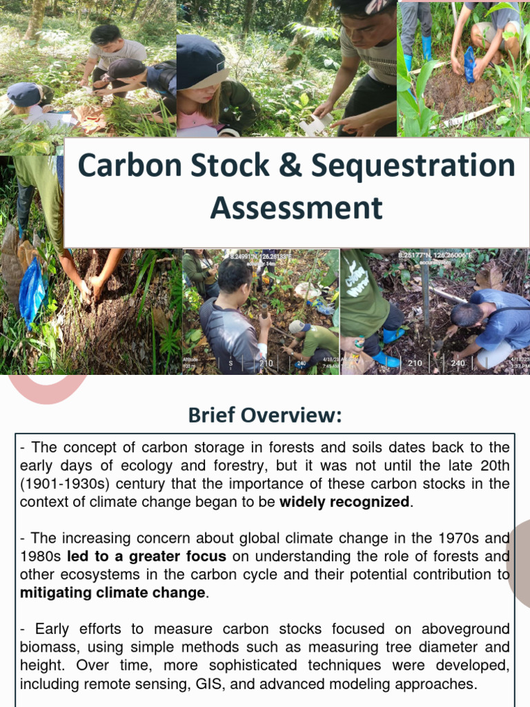 Carbon Stock Assessment-Silviculture | PDF | Climate Change | Carbon ...