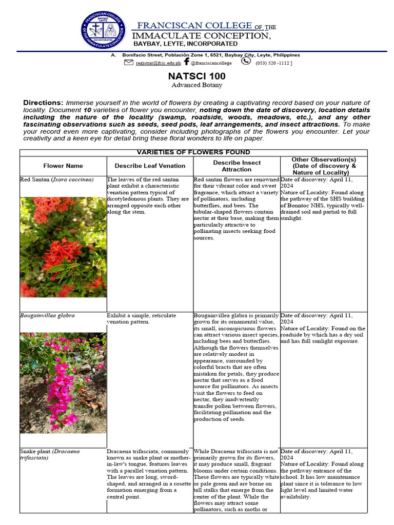 NAtSCI 101 FLowers | Download Free PDF | Flowers | Leaf