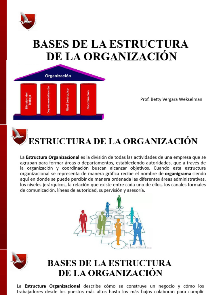 Tema 10 Bases de La Estructura de La Organización | PDF | Business | Economias