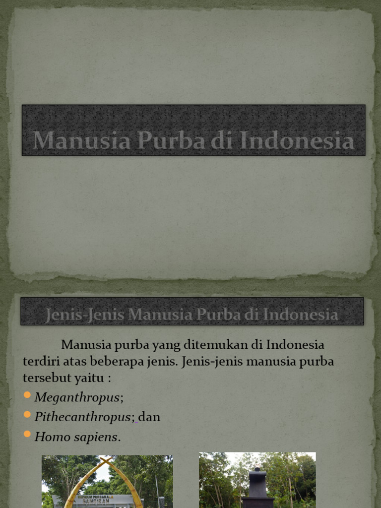 Manusia Purba di Indonesia | PDF