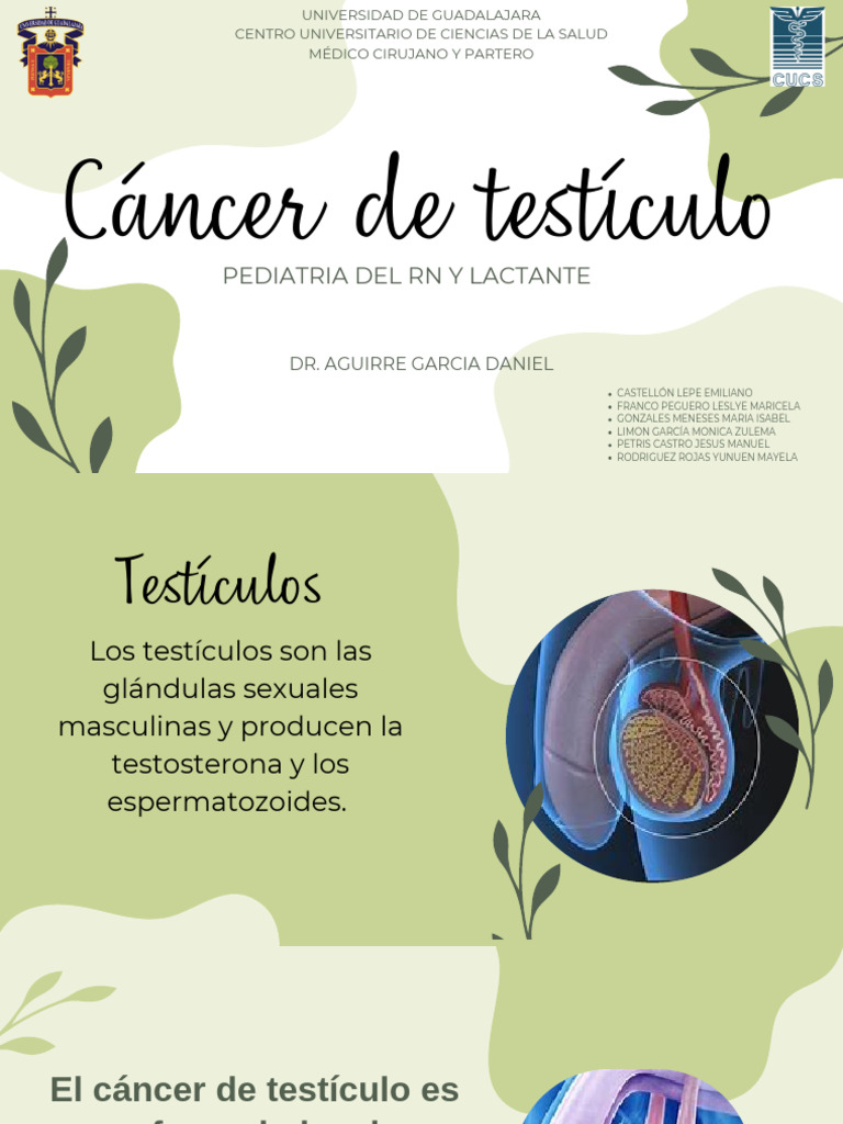 Cáncer de testículo: diagnóstico y tratamiento | PDF | Neoplasias | Cáncer