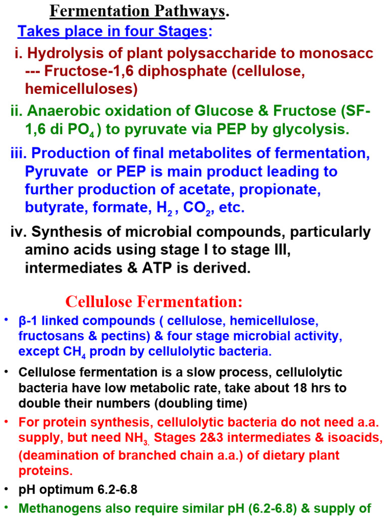 Dig. System-5 | Download Free PDF | Fermentation | Metabolism