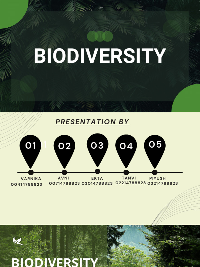 Green Illustrated Sustainable World Presentation | PDF | Biodiversity ...