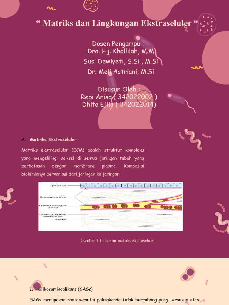 Biologi Sel Dan Molekuler - Kel4 | PDF