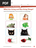 Rainbow Grade R BIG Book 2resized | PDF | Teachers | Cognition