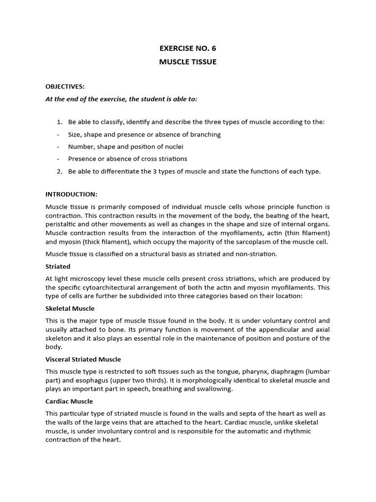 Exercise-No.-6-Muscle-Tissue | PDF | Muscle | Cardiac Muscle
