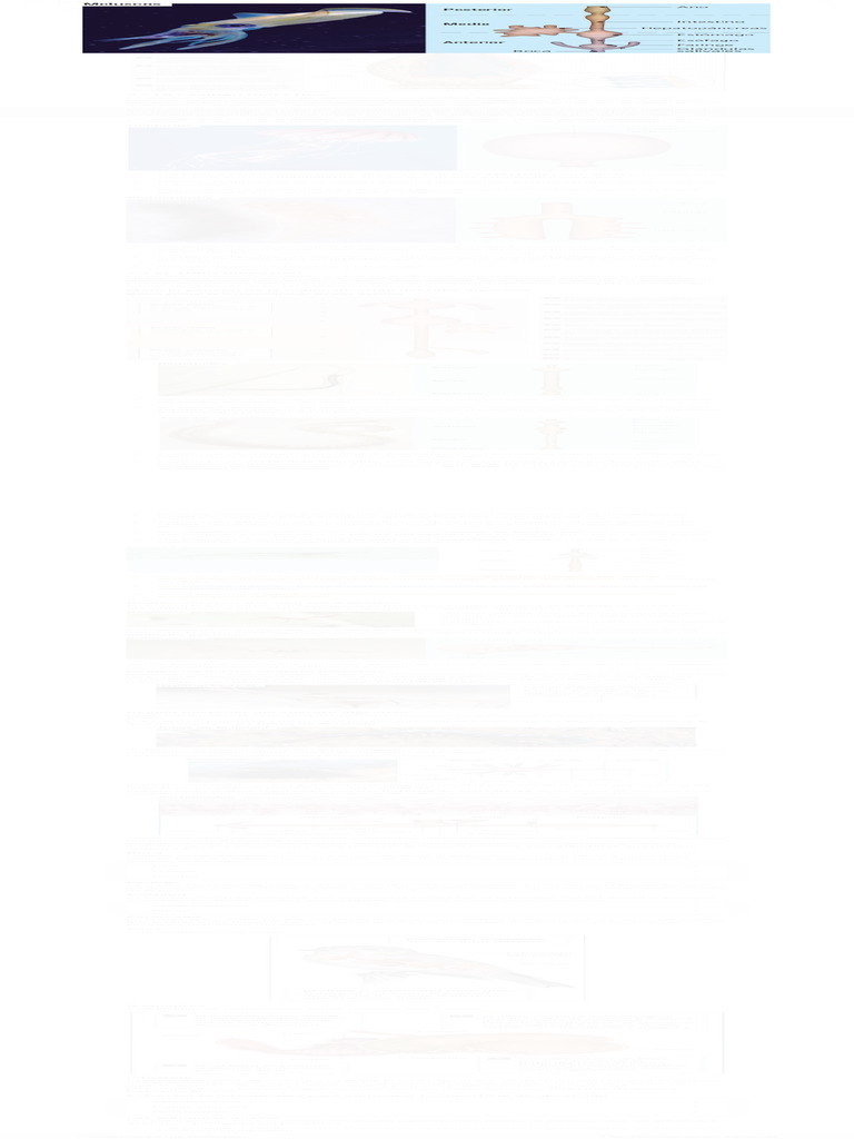 Edelvives Digital Plus 35 | PDF | Digestión | Sistema digestivo humano