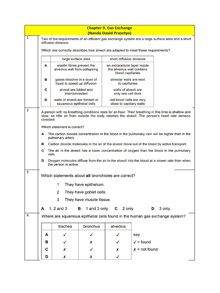 Chapter 9. Gas Exchange Exercise | PDF