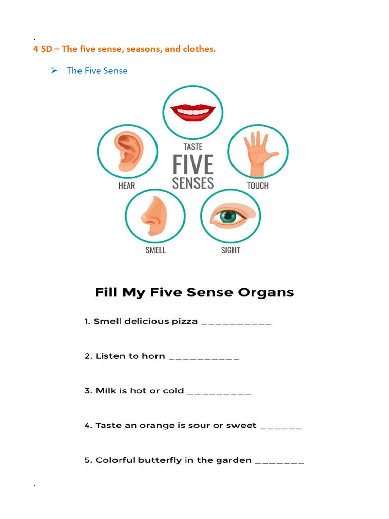 4 SD - The Five Sense, Seasons, and Clothes | PDF
