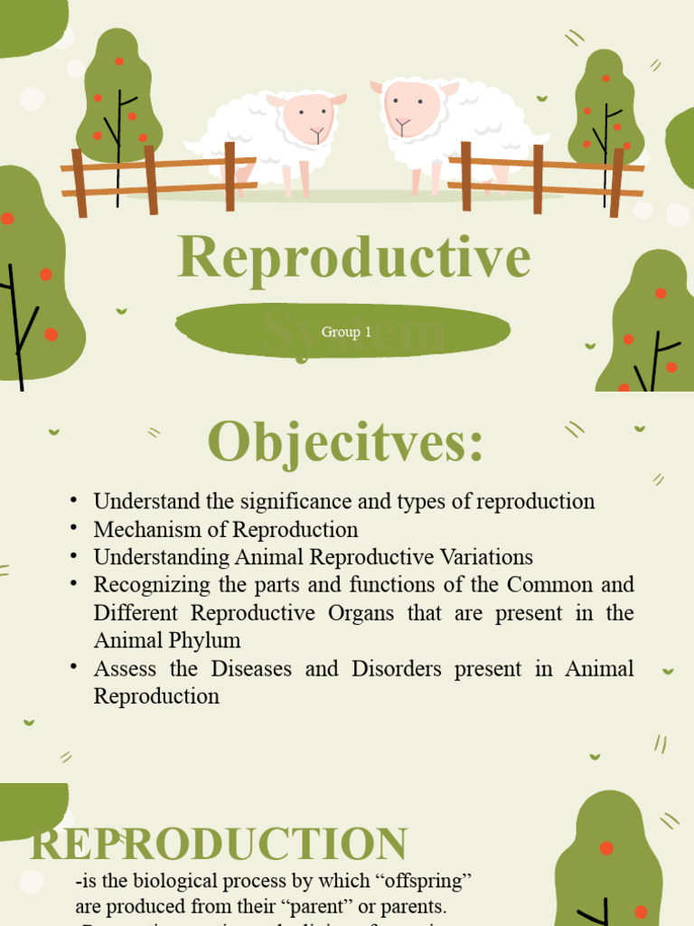 Reproductive System (Plants and Animals) | PDF | Reproductive System ...