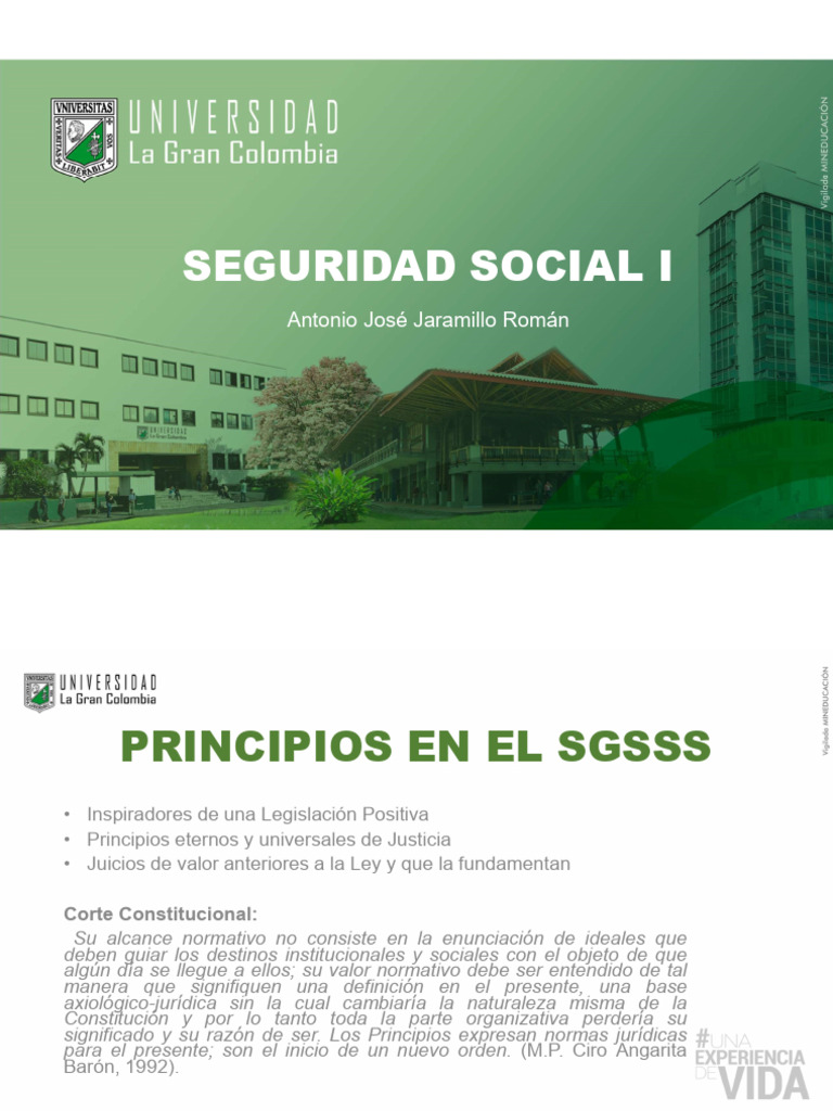 Principios Del Sgsss en Colombia | PDF | Accesibilidad