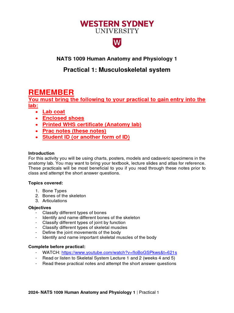 Anatomy Lab Essentials | PDF | Vertebra | Skeletal System
