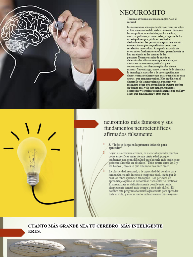 Neuromito | PDF | Aprendizaje | Razón