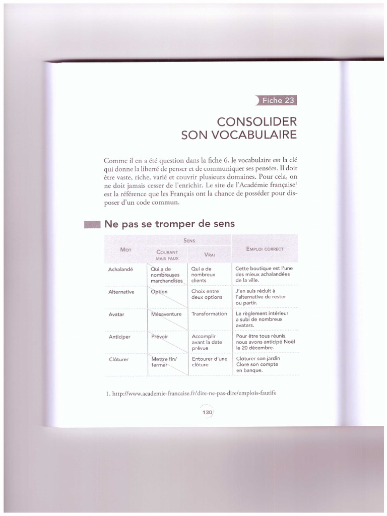 RT Document 2 - Consolider Son Vocabulaire | PDF