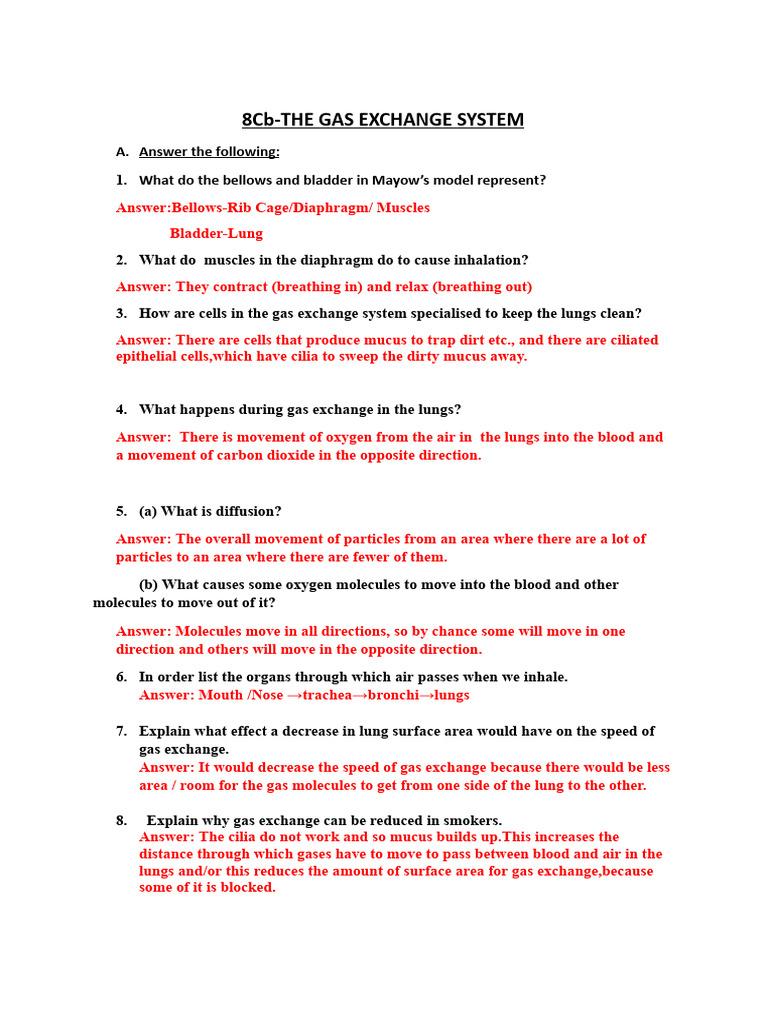 8Cb-The Gas Exchange System | PDF | Lung | Breathing