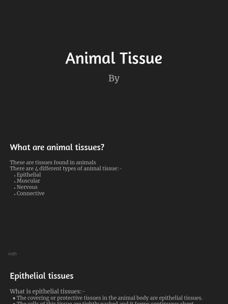 animal-tissue-pdf-muscle-tissue-biology