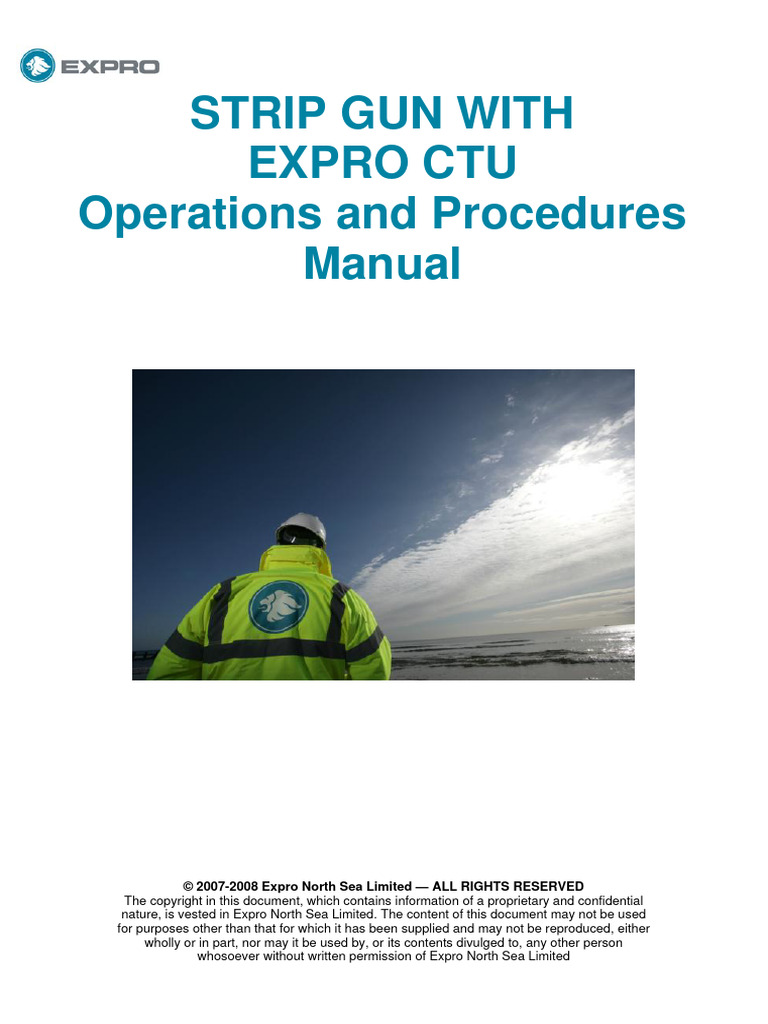 Strip Gun Rev B | PDF | Dangerous Goods | Switch