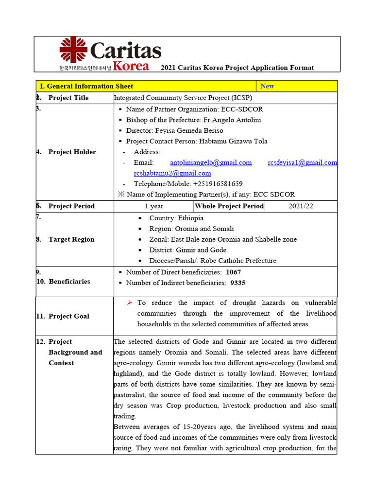Caritas Korea Project proposal 2021 | PDF