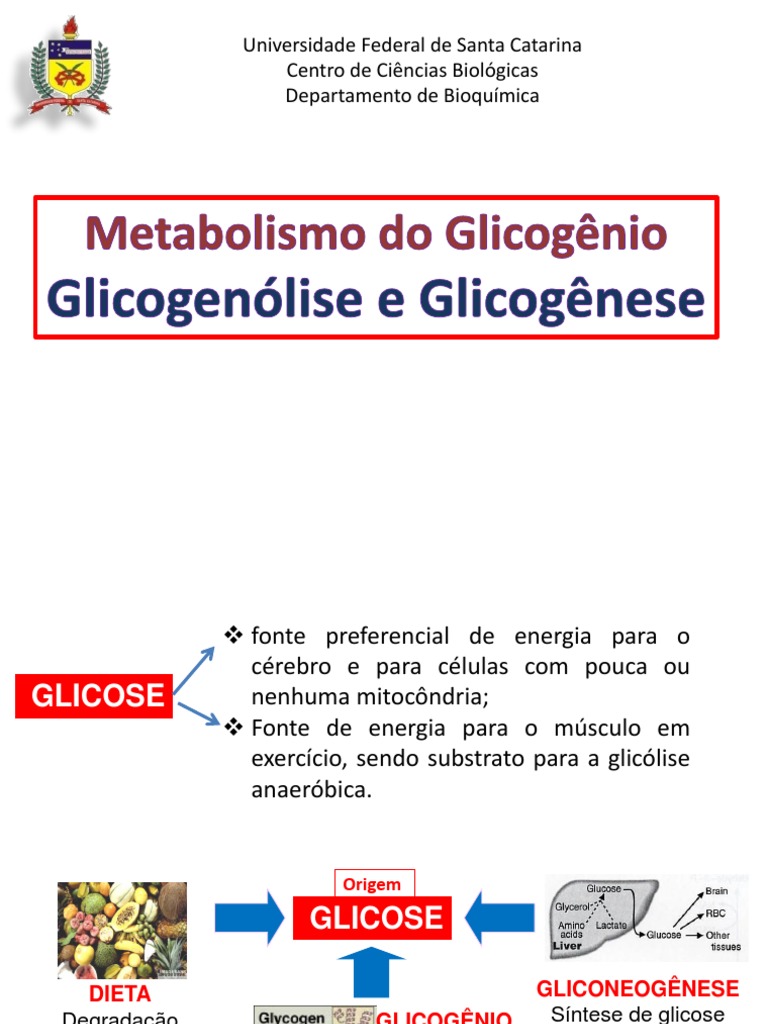 Aula_10_-_Glicogenese_glicogenolise