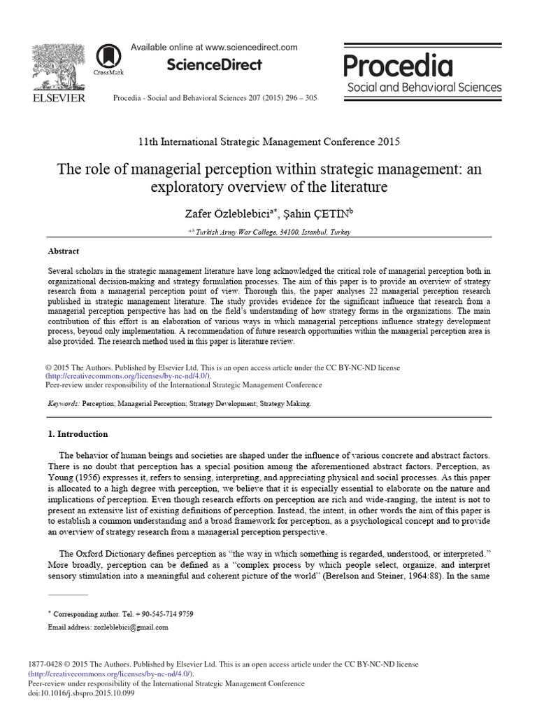 The Role of Managerial Perception Within Strategic Management - An ...