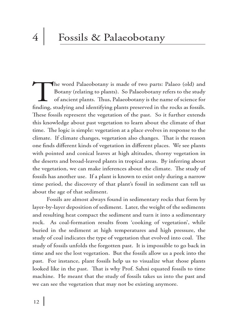 FOSSILS | PDF | Fossil | Sedimentary Rock