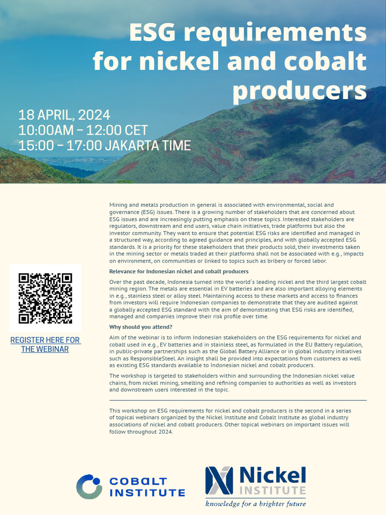 ESG Standards for Nickel & Cobalt Producers | PDF | Cobalt | Nickel