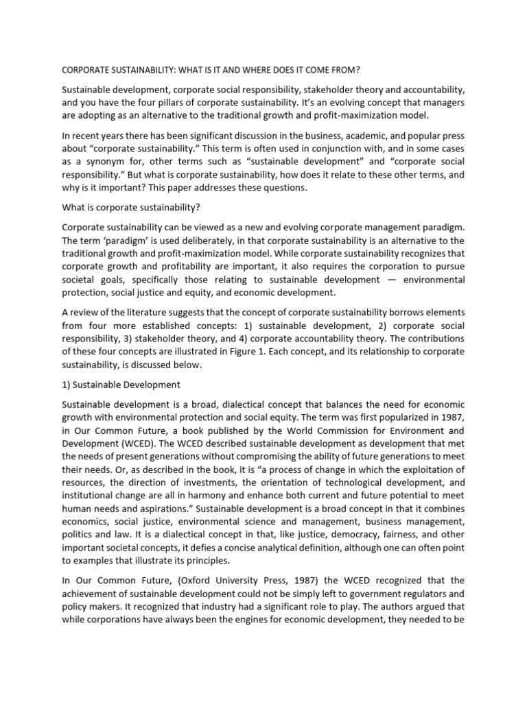 Understanding Corporate Sustainability Pdf Sustainability