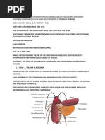 Cockroach Dissection | PDF | Wellness