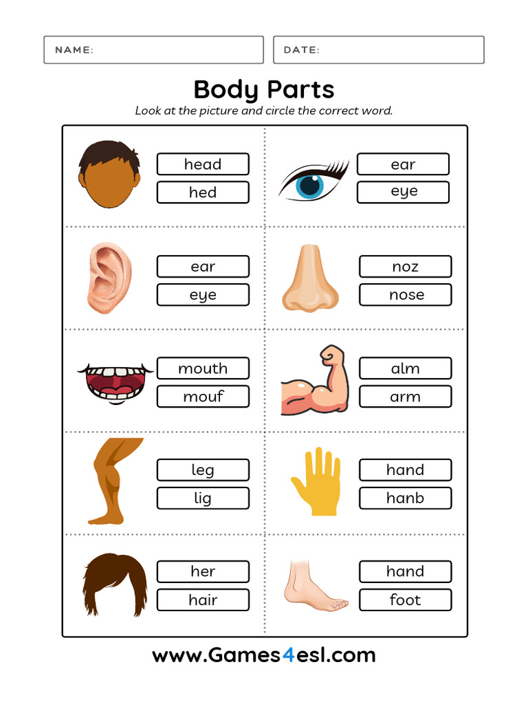 Body Parts Word Scramble Activity | PDF
