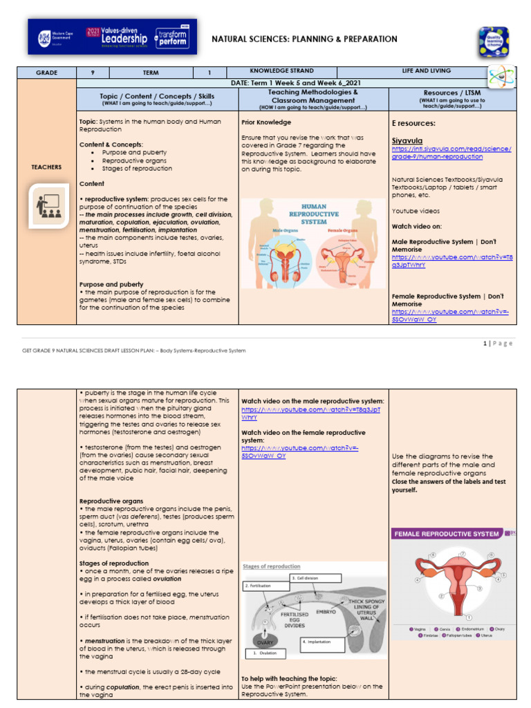 Lesson Plan Gr 9 Natural Sciences T1 W5&6 | PDF | Reproductive System ...