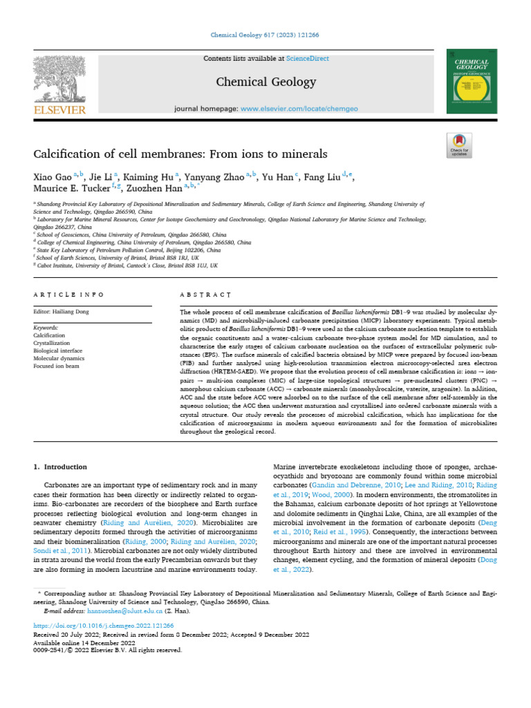 Calcification of Cell Membranes From Ions To Mineral | PDF | Carbonate ...