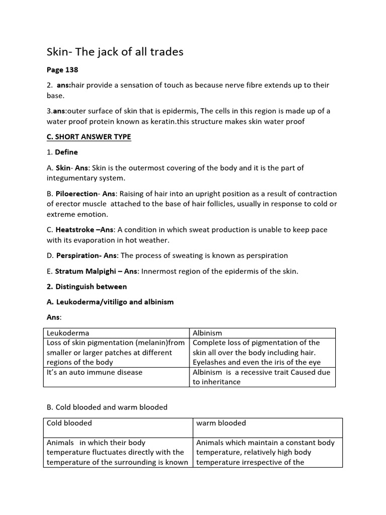 Skin | PDF | Skin | Epidermis