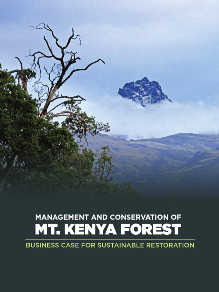 Mt. Kenya Business Case | PDF | Hydroelectricity | Forests